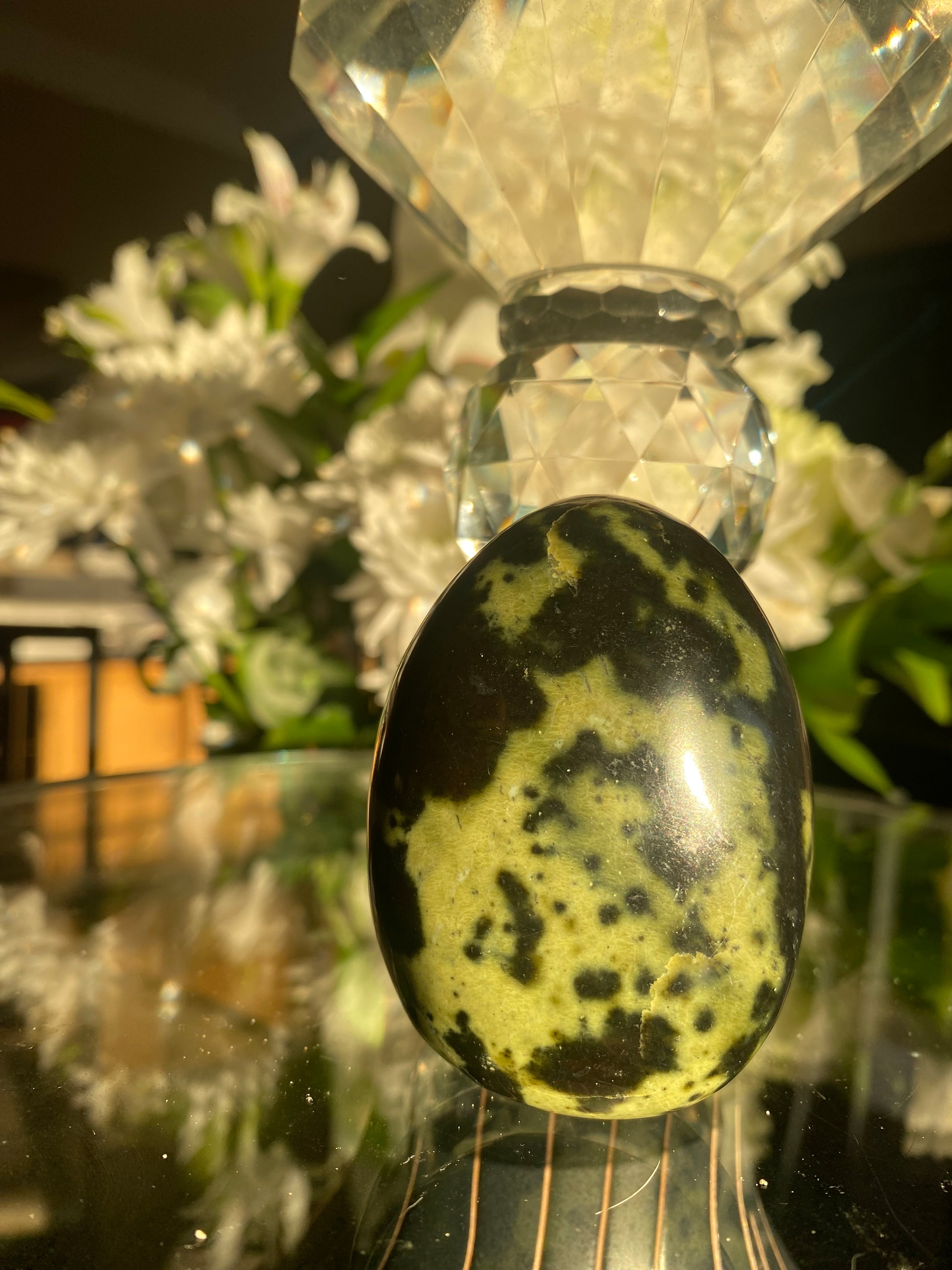 Polished Leopard Stone (Palm Stone) – Amelia's Crystal Palace